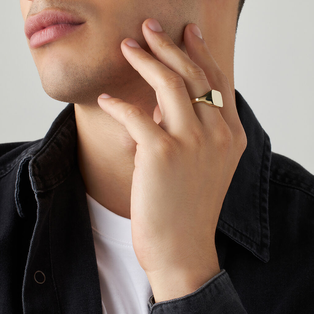 Anello Chevalier L'homme Or Oro Giallo - 1425188 • Stroili